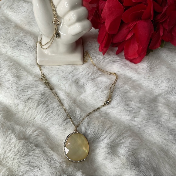 LOFT | Jewelry | Nwot Loft Long Necklace Opallike Stone Surrounded In ...